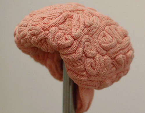 Unraveling the Connections of the Brain | Lunatic Laboratories