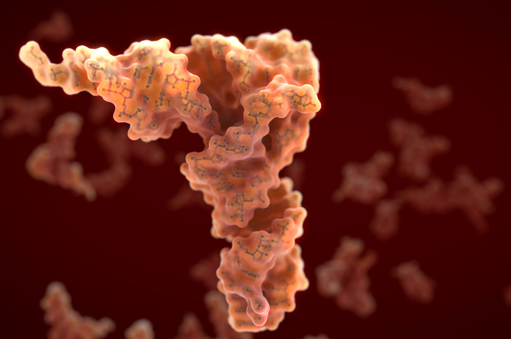 tRNA lookalikes in the Human Genome | Lunatic Laboratories