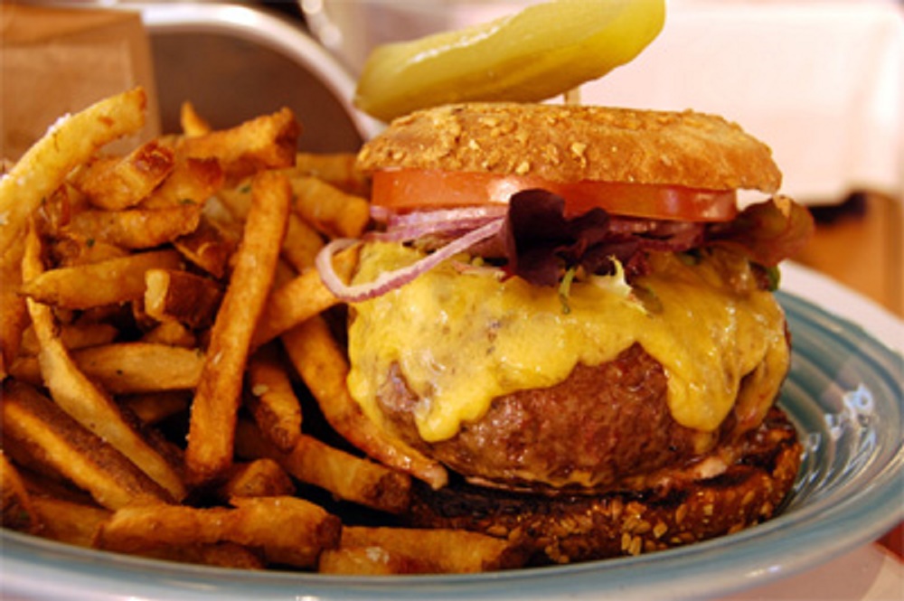 High-fat diet causes brain inflammation and alters behavior | Lunatic ...