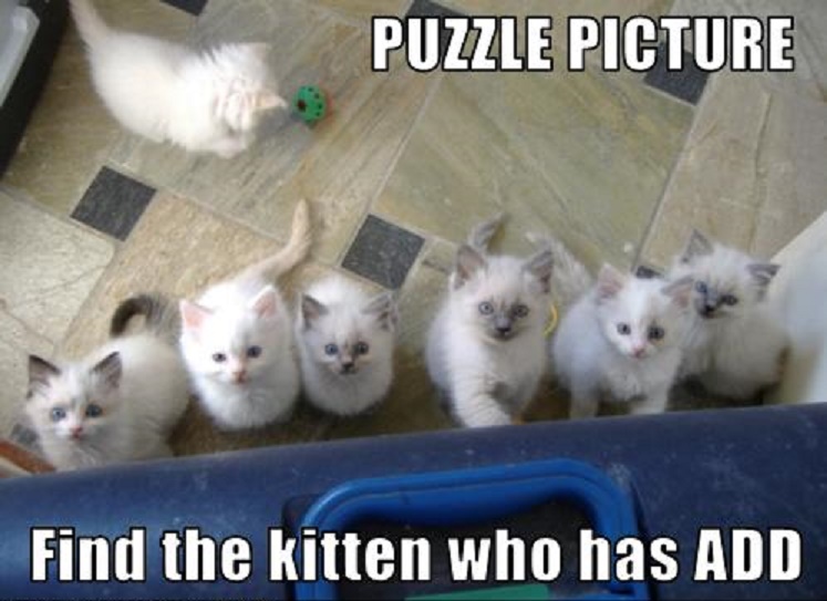 Kids with ADHD must squirm to learn | Lunatic Laboratories