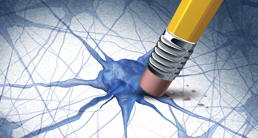 Preventing addiction relapse by erasing drug-associated memories ...