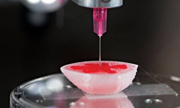 Polymer 3d Structure