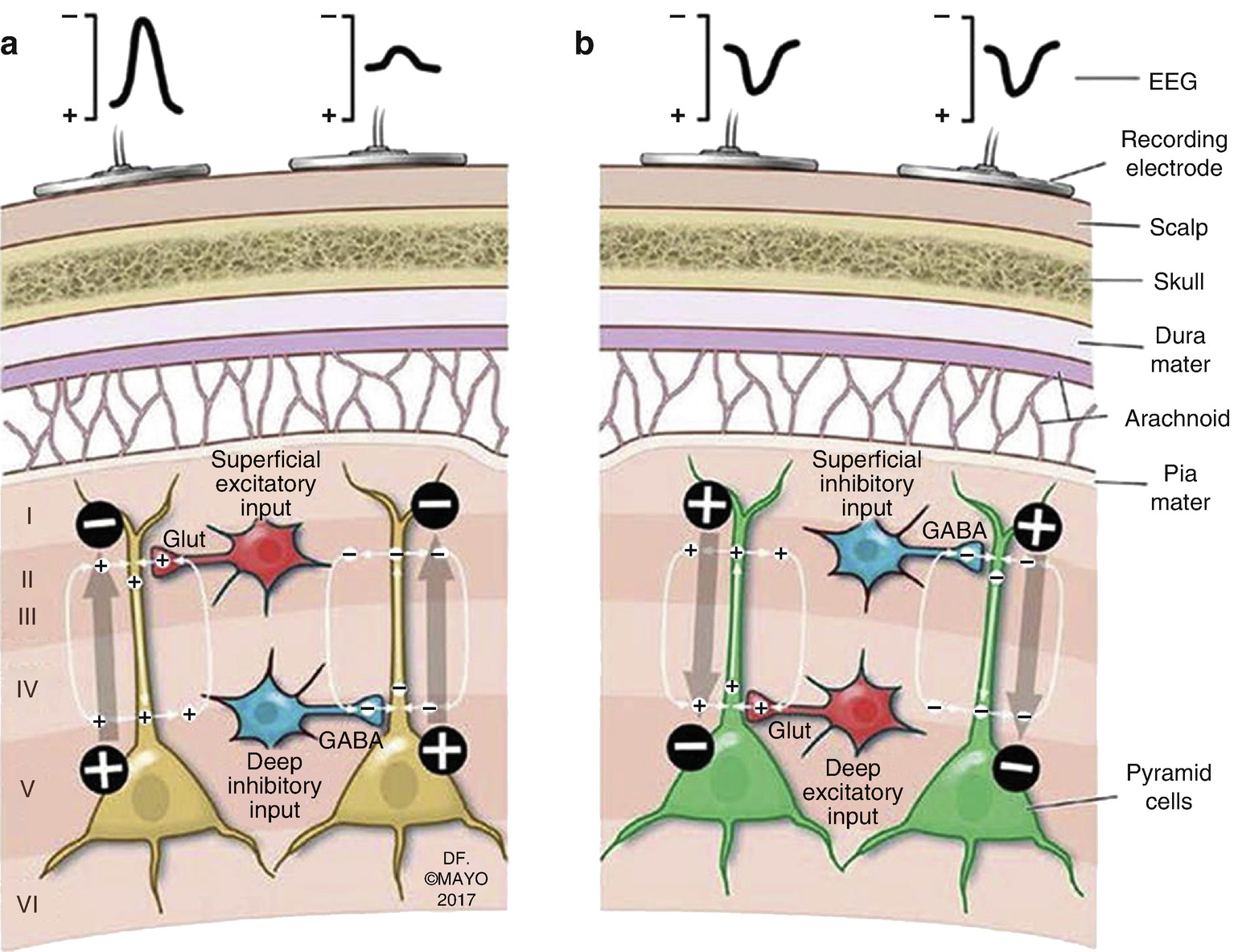How can we record from the brain non-invasively? | Lunatic Laboratories