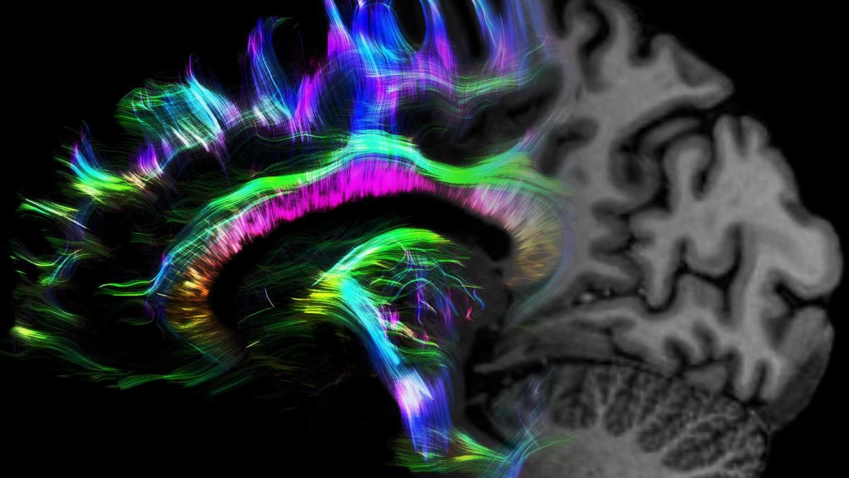 The art in science | Lunatic Laboratories