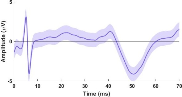 Dissertation data processing | Lunatic Laboratories