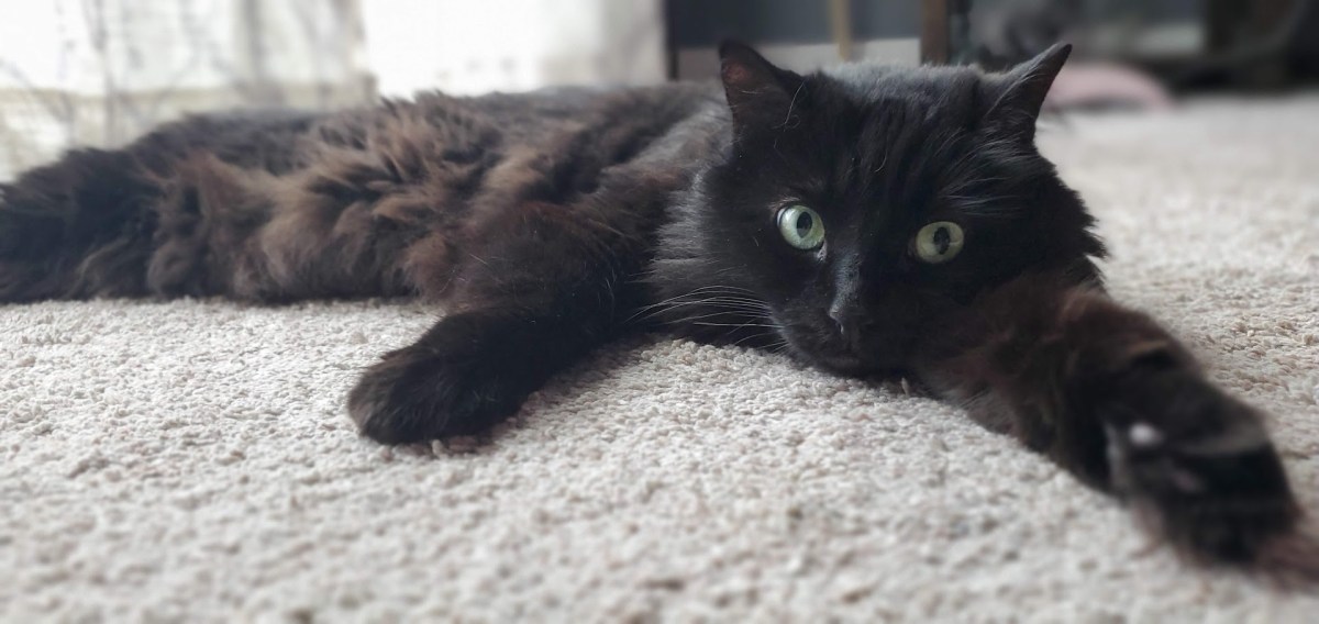 A bad spoon | Lunatic Laboratories